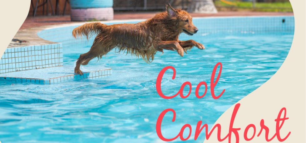 A Cool Pool: How to Keep Your Pool Refreshing in the Summer Heat - EcoWorks